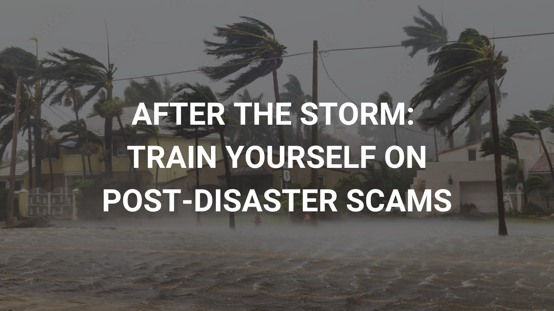 After the Storm: Train yourself on Post-Disaster Scams | The Innocent ...
